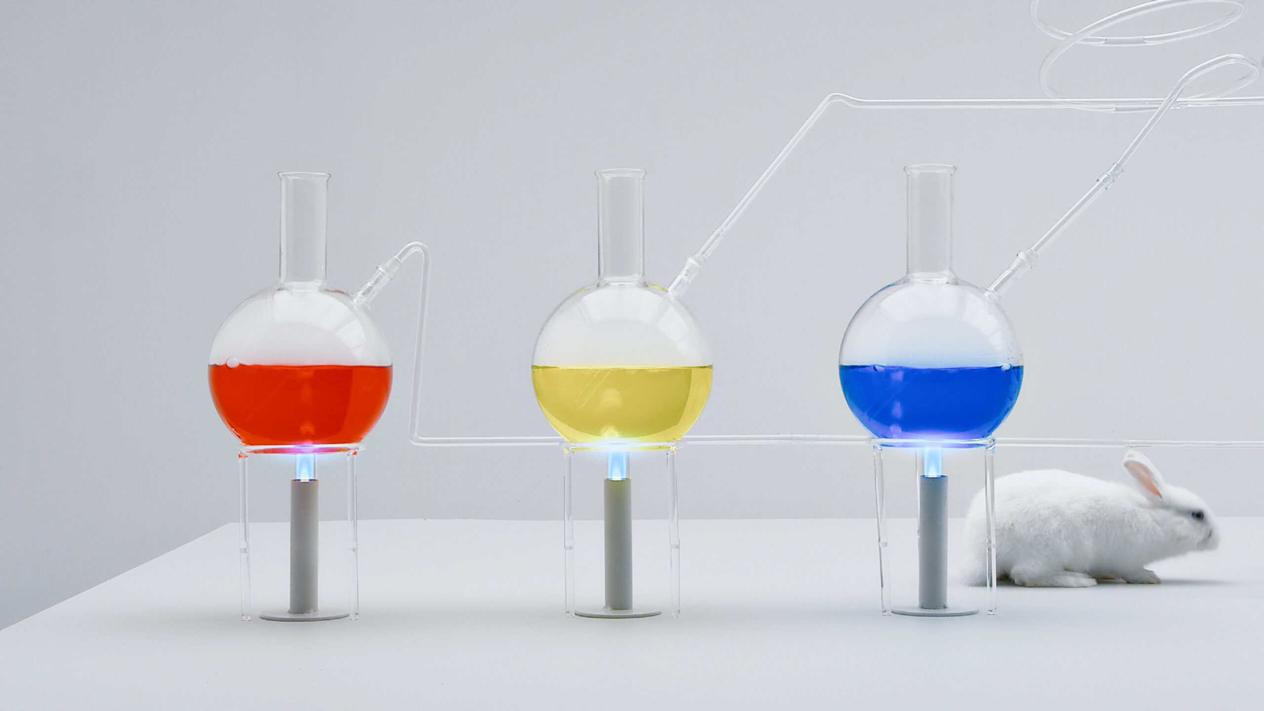 The Performance Agency – ANOTHER DUO